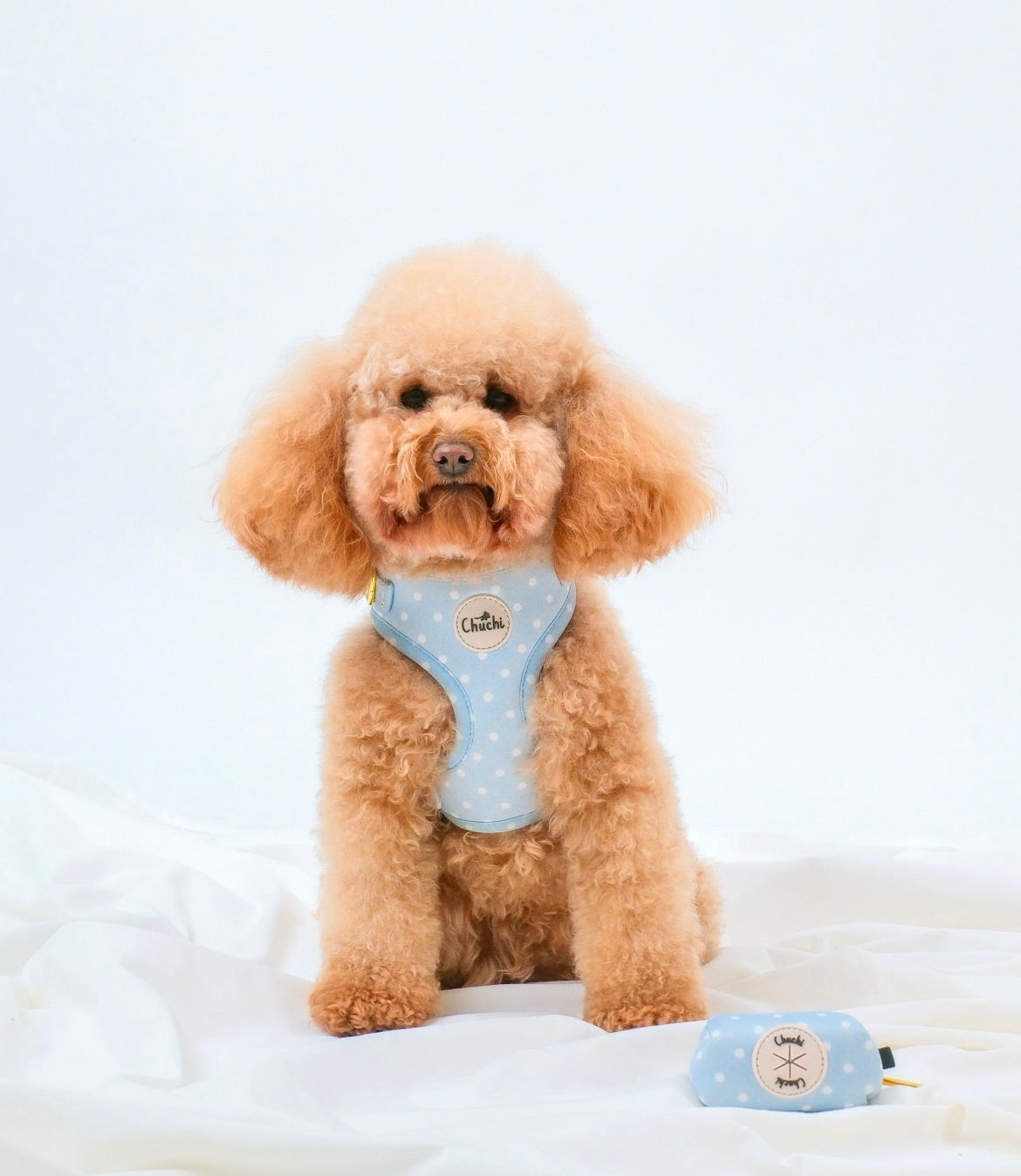 Blue Polka Dot Collection – Chuchi